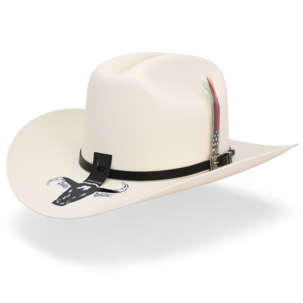 Sombreros Vaqueros y Texanas [Mejor Precio + Envio Gratis ...