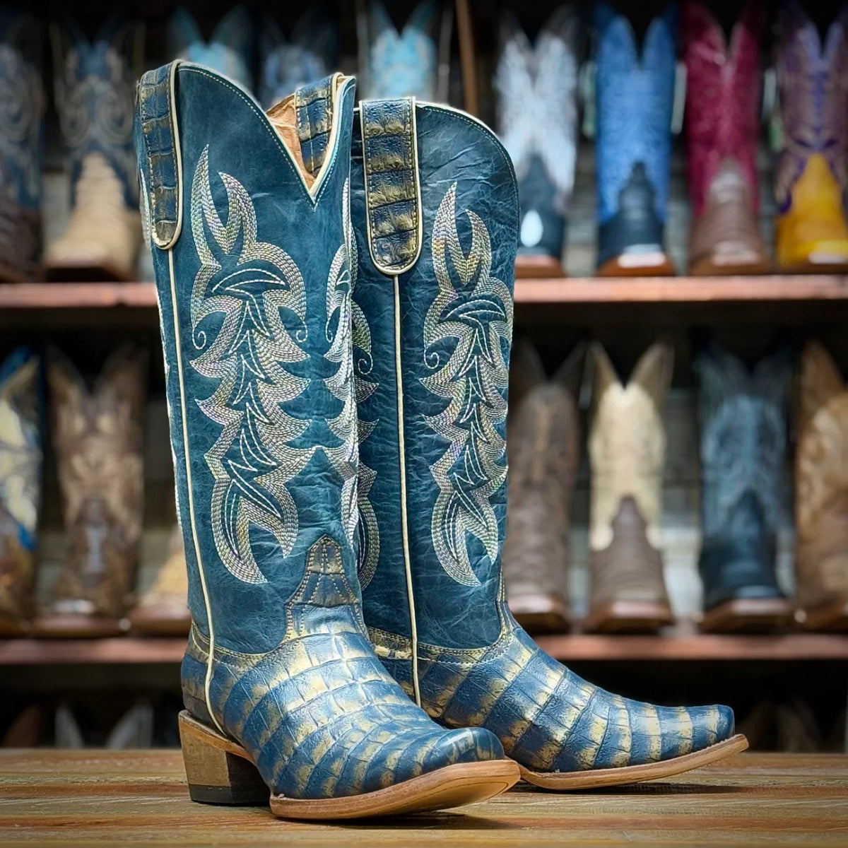 Tanner Mark Women's Caiman Belly Print Square Toe Tall Boots - Navy
