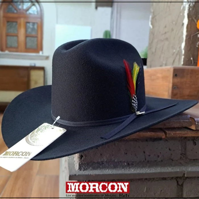 Sombreros Vaqueros y Texanas [Mejor Precio + Envio Gratis ...
