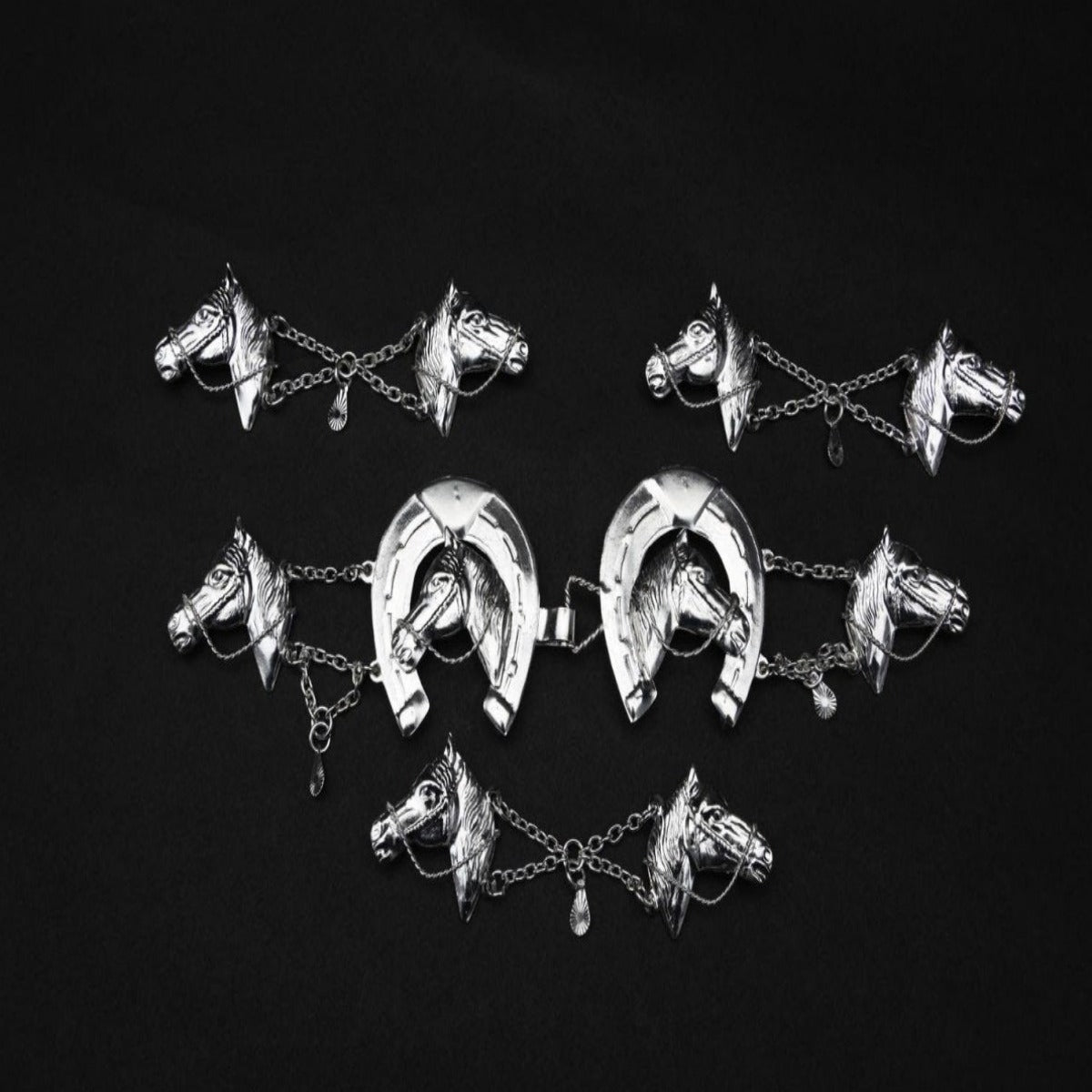 Buttons for Charro Horse Suit in Silver Color