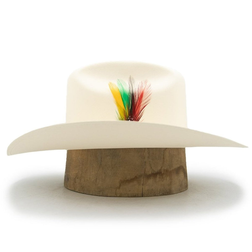 Sombreros y Texanas Tombstone [2024 Collection] — CaballoBronco.com