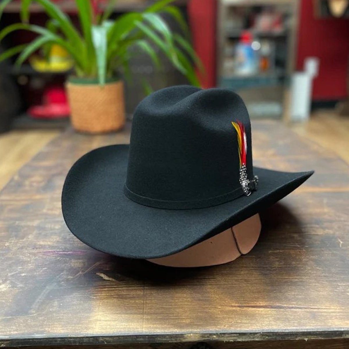 Texana - Sombrero Vaquero Cuernos Chuecos Durango 6X Negra con Plumas ...