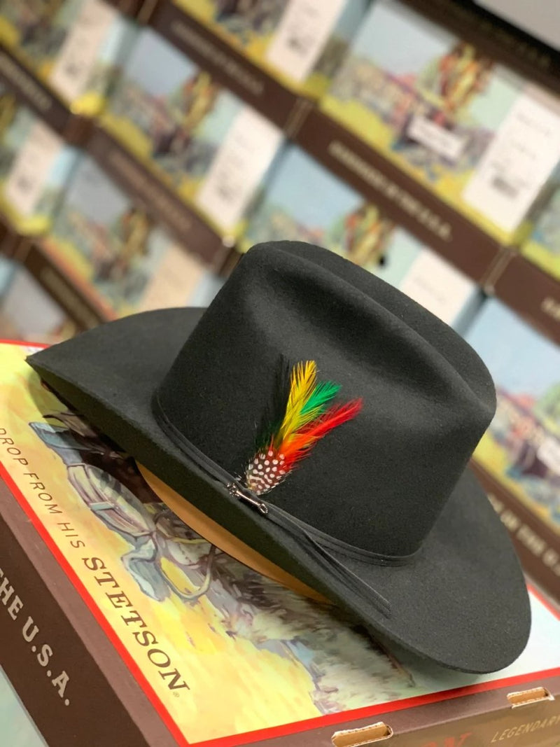 Texanas y Sombreros Vaqueros Stetson [Mejor Precio + Envio Gratis ...